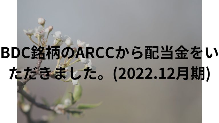 Tracers S&P500トップ10インデックスの評価は？ - マス層無職がアッパーマスになるブログ
